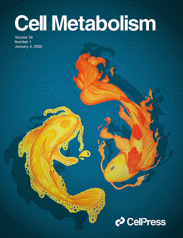 Homeostatic balance – illustration4science